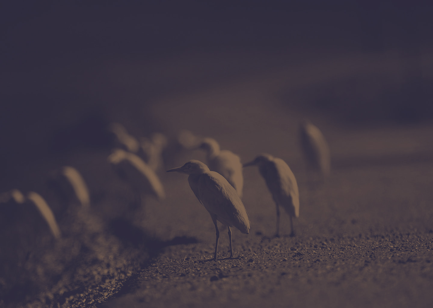 High Performance Sql With Postgres Data Egret