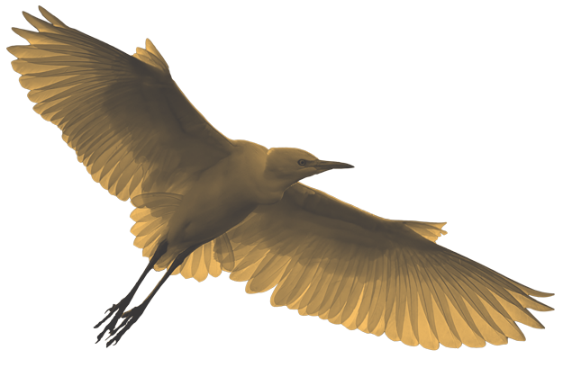 Courses - Data Egret