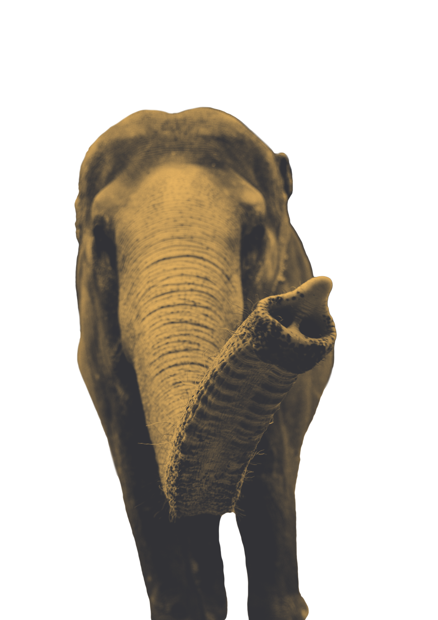 PostgreSQL Troubleshooting and Consulting Bundle - Data Egret